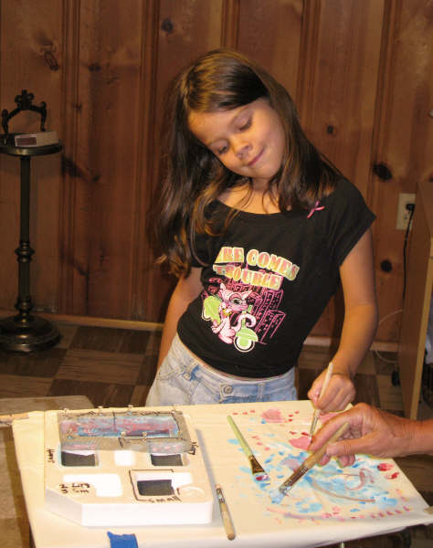 Window Screen Painters